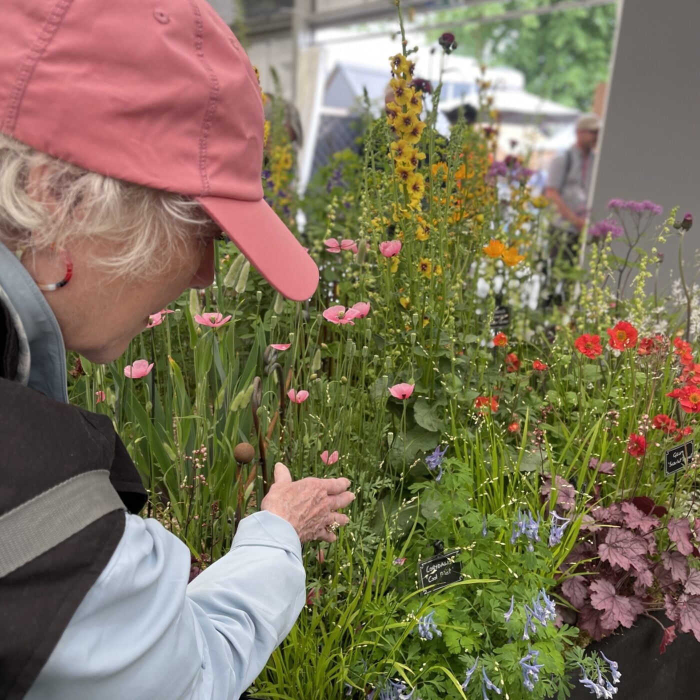 Summer Plant Fair 2026 at Hever Castle